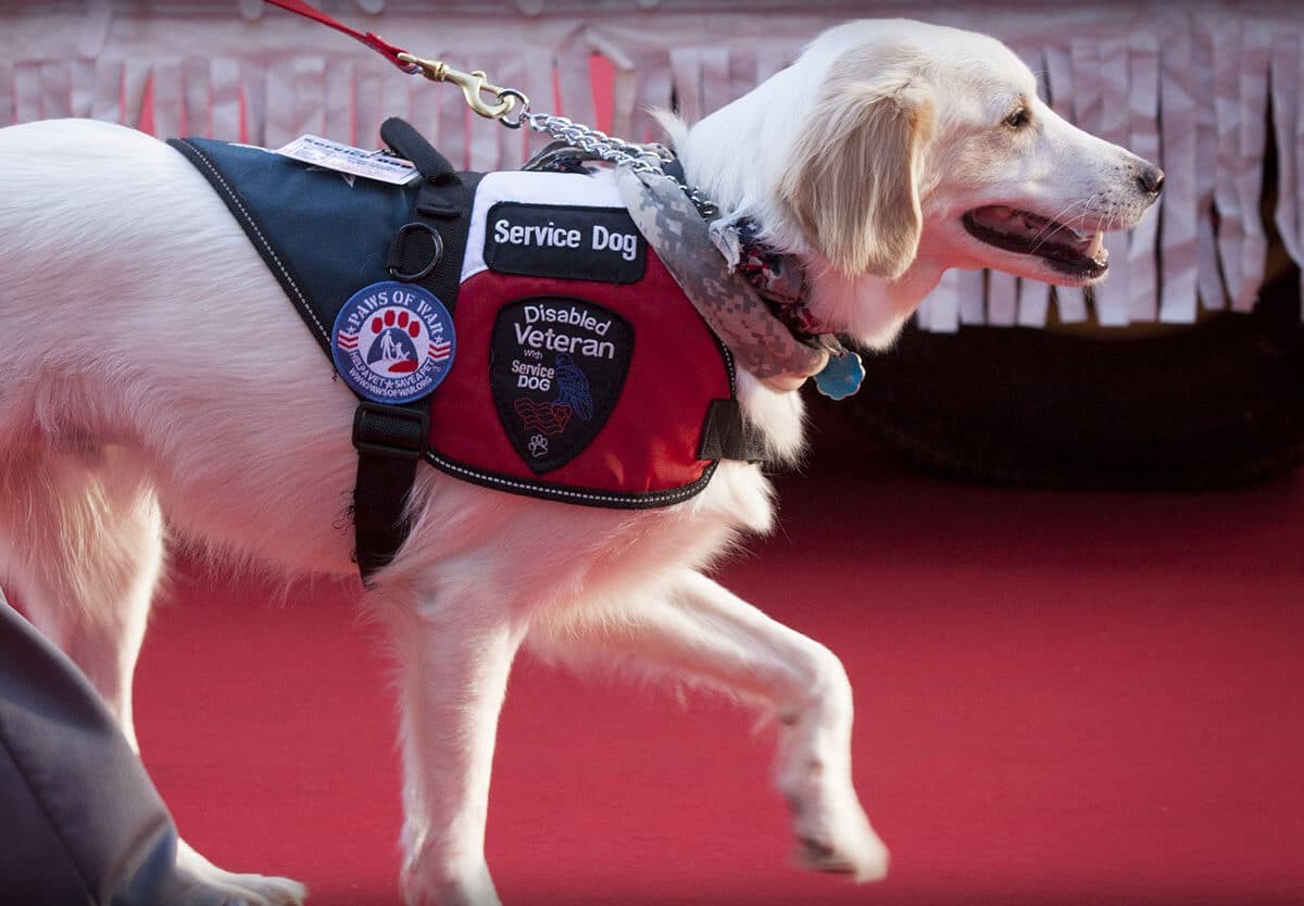 New Horizons Un-Limited Inc. providing access to information and life ...